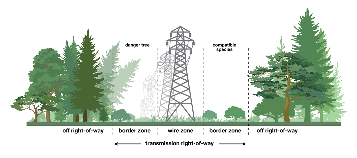 20220630-meet-the-team-preventing-power-outages-one-tree-at-a-time ...