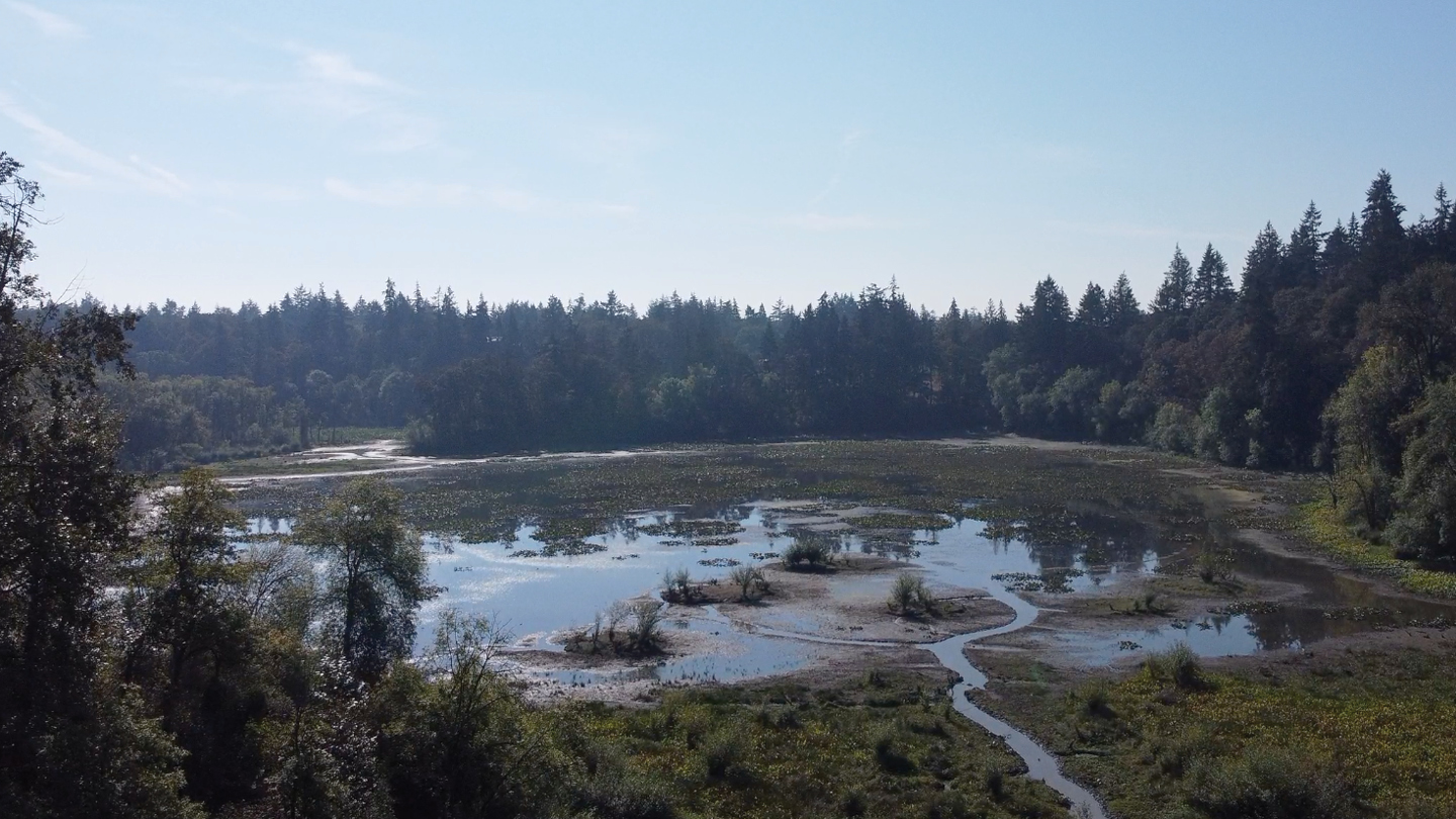 Local community helps make Dalton Lake restoration project a reality ...