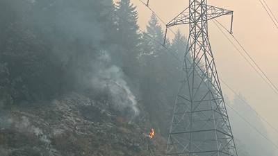 20221215-bpa-crew-clears-thousands-of-trees-after-bolt-creek-fire ...
