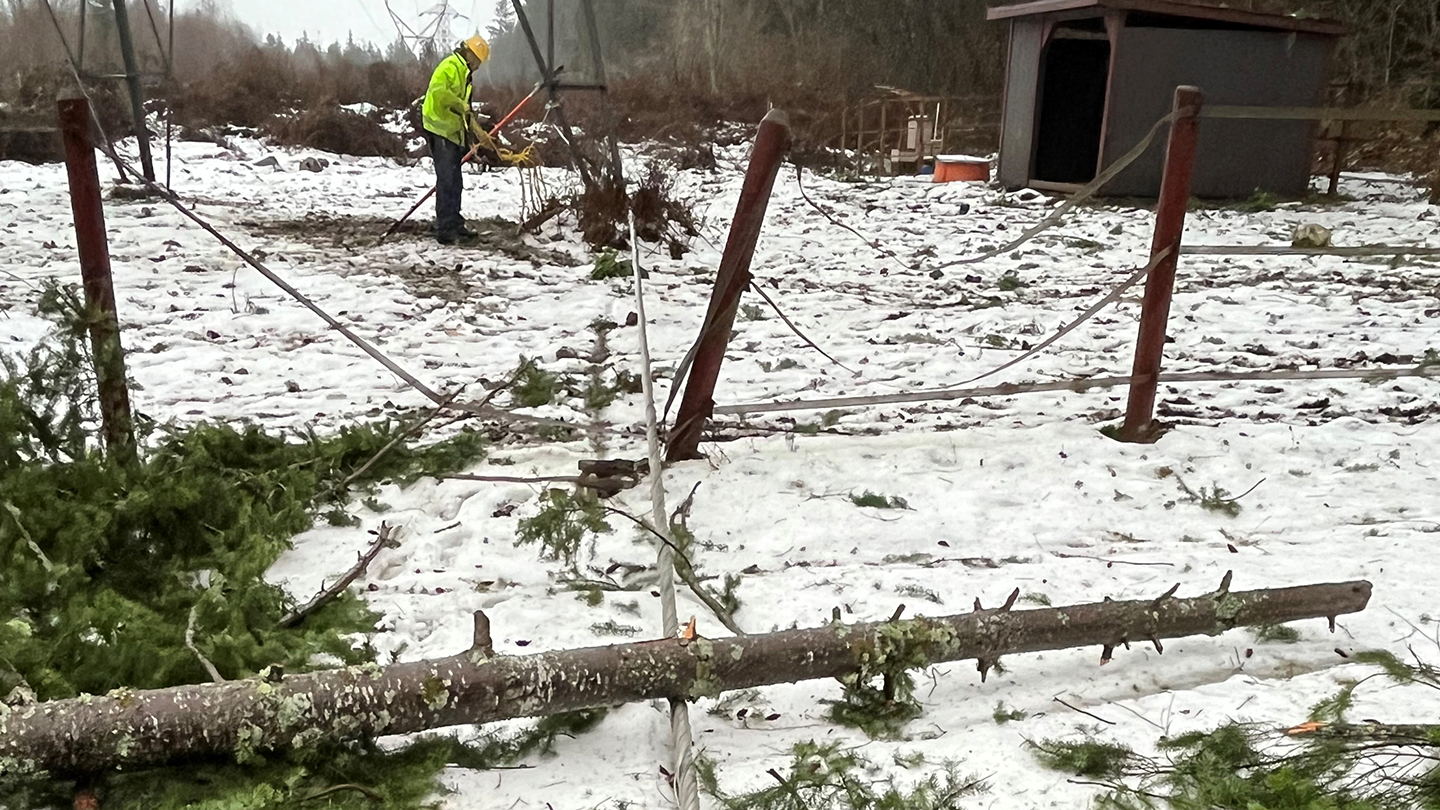 20230112-winter-weather-wallops-nw-as-bpa-crews-respond-to-downed-tx ...