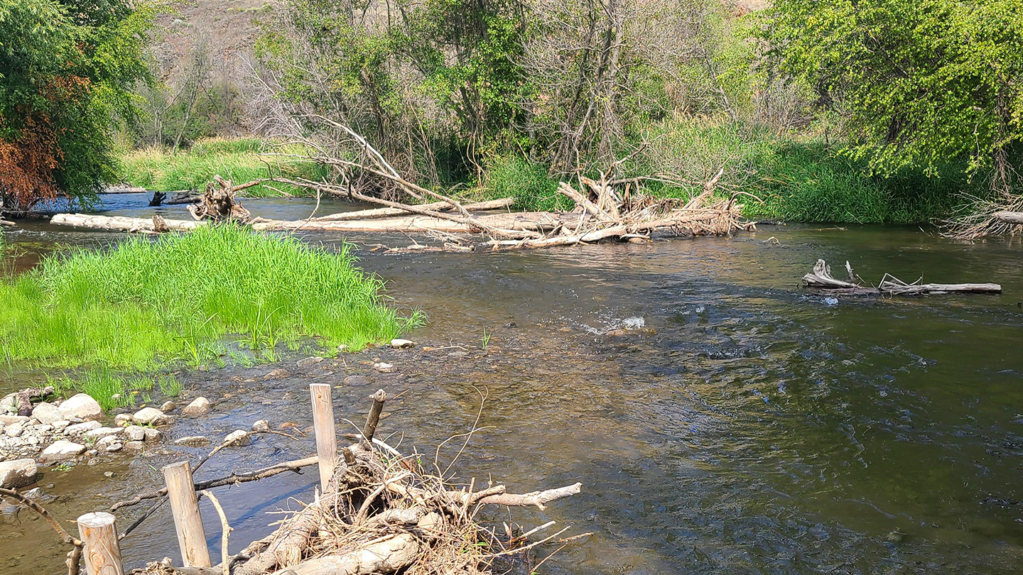 20231102-state-of-oregon-recognizes-two-bpa-fish-and-wildlife-projects ...