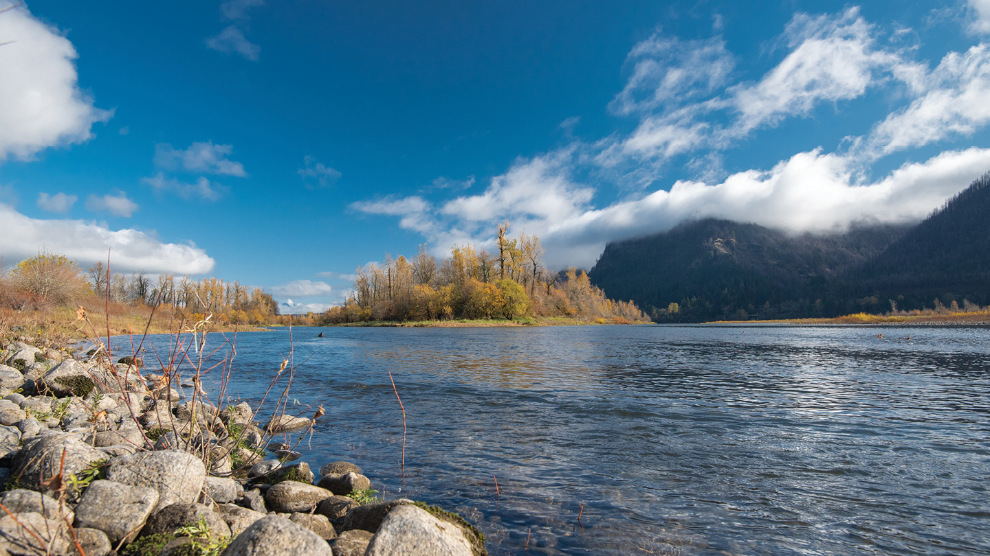 20240502-new-report-highlights-bpa-fish-and-wildlife-program ...