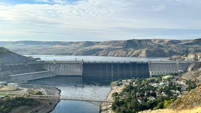 Learn the intertwined history of BPA and direct service industries ...