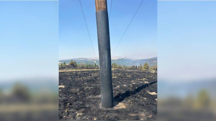20240911-bpa-protects-wood-poles-reliable-service-with-fire-resistant ...
